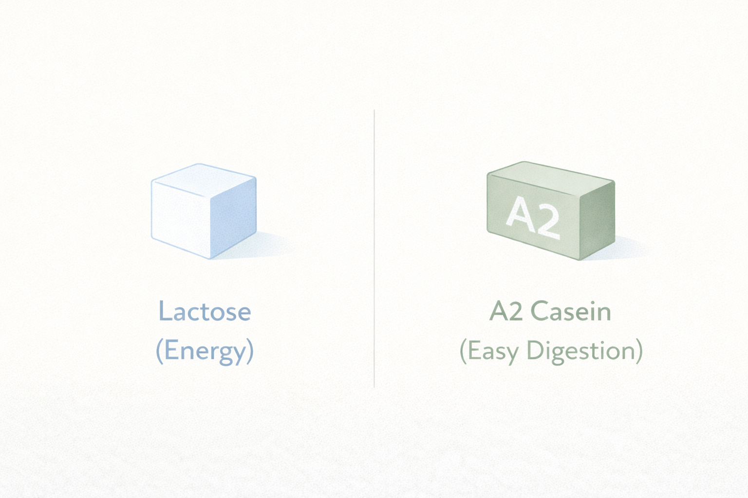 Does Goat Milk Have Lactose? Facts, Myths, and Digestibility